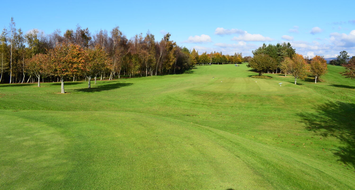 Home - New Ross Golf Club